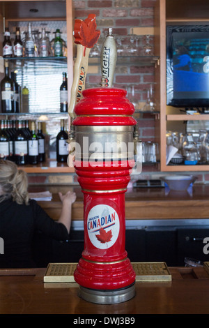 Molson Canadian Beer Stock Photo - Alamy