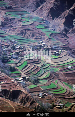 Weining, China's Guizhou Province. 9th Feb, 2023. Black-necked cranes ...