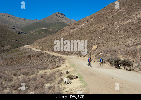 Mountain Road, Mokhotlong District, A14, Lesotho Stock Photo - Alamy