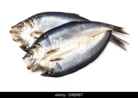 Non-dyed Scottish smoked kippers isolated on a white studio background ...