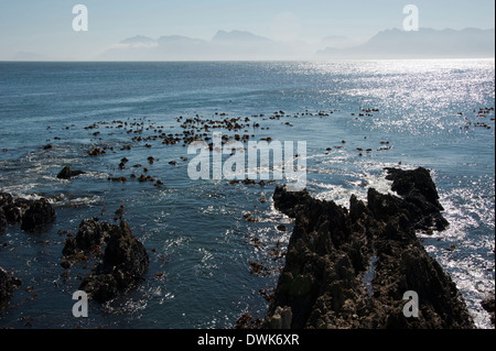 Beach, Hawston, Western Cape, South Africa Stock Photo - Alamy