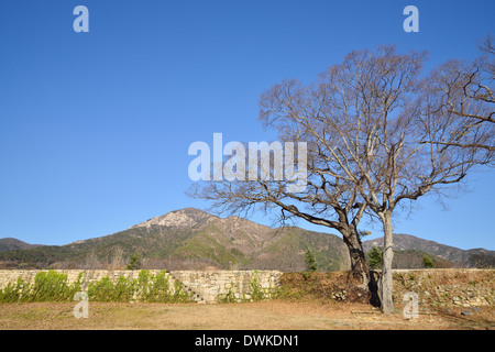 Korean Traditional brickwork rampart in NakAn Town in Korea Stock Photo ...
