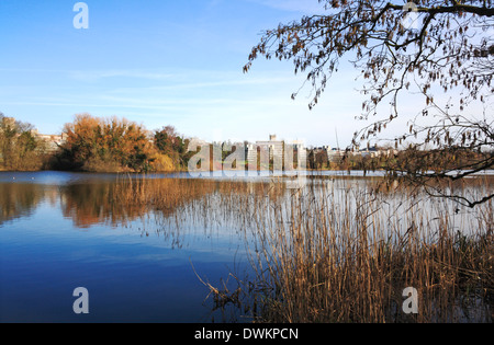 UEA lake the broad Stock Photo - Alamy