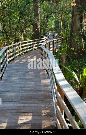 Naples, Florida - The National Audubon Society's Corkscrew Swamp ...