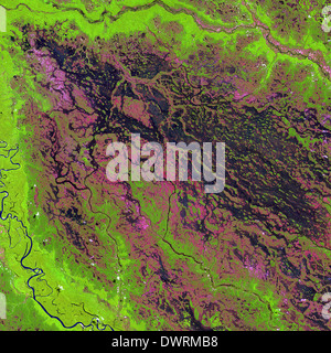 Demini River in northwestern Brazil viewed from space Stock Photo - Alamy