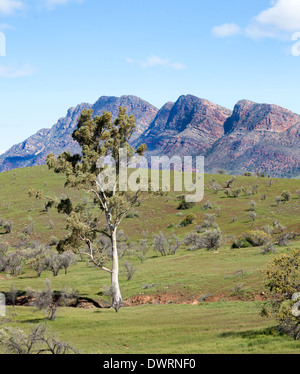 scene in Flinders Ranges Australia Stock Photo - Alamy