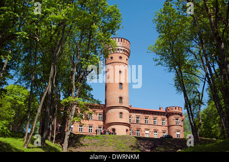 Castle Raudondvaris, Raudone Stock Photo - Alamy