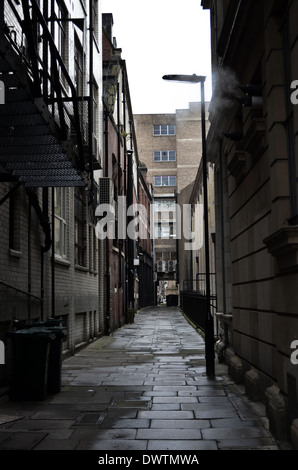Back alley in Newcastle Stock Photo - Alamy