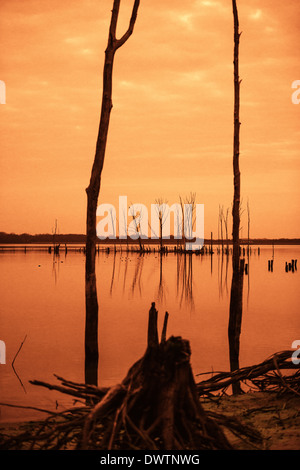Sunset, orange glow, trees, mood, smooth waters Stock Photo - Alamy