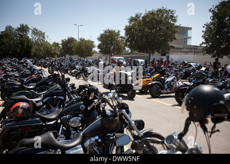 Concentration of Bandidos Motorcycle club a Harley Davidson club in ...