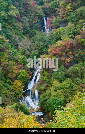 Autumn in Nikko, Japan Stock Photo - Alamy