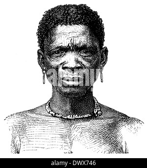Portrait of a Bushman man. Old illustration from La Nature 1887 Stock ...