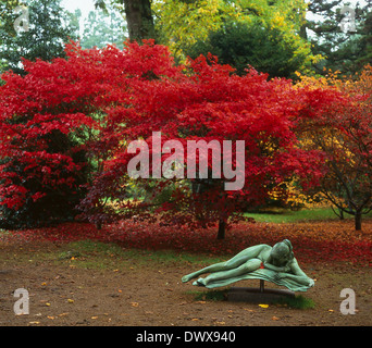 Woman with yellow leaves is in autumn city park. Bright yellow trees ...