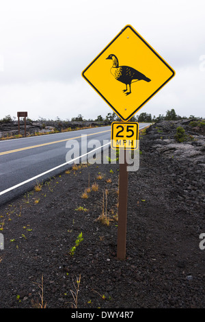 Nene Hawaiian Goose crossing sign on the road to Haleakala Crater ...