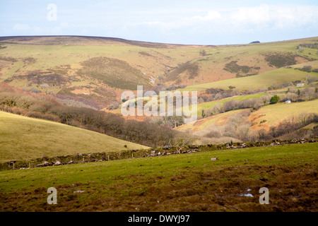 Interlocking spurs tributary valley of the East Lyn river, Brendon ...