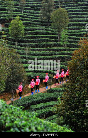 Zhaoping, China's Guangxi Zhuang Autonomous Region. 15th Mar, 2014. A ...