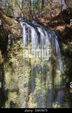 The highest waterfall in Florida Stock Photo - Alamy