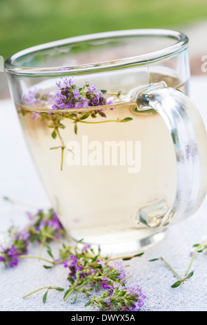 Thyme herbal tea Stock Photo - Alamy