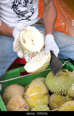 Durian fruit cut in half on a wooden table. The durian is the edible ...
