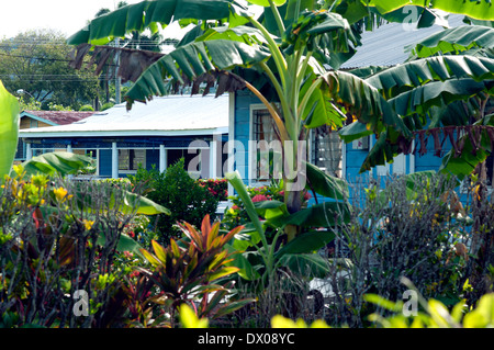 village house, Apia, Samoa Stock Photo - Alamy