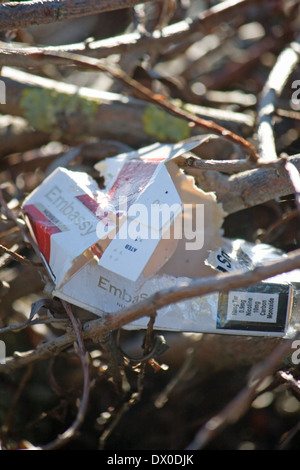 Discarded cigarette packet on a nature reserve in Weymoyth,Dorset Stock ...