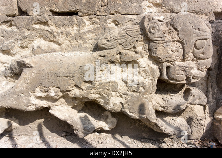 sculpted lion of Sultan Baybars on the Tower of the Lions, Citadel ...