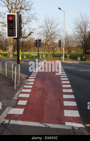 dedicated cycle path in Cambridge, UK Stock Photo - Alamy