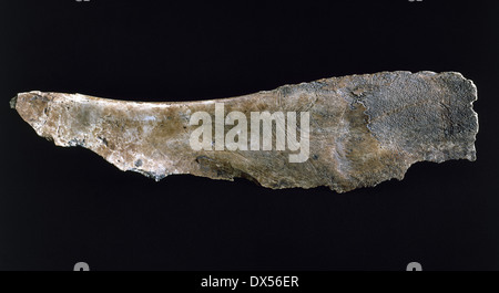 Spain. Upper Palaeolithic. Magdalenian (16000-15000). Scapula depicting ...