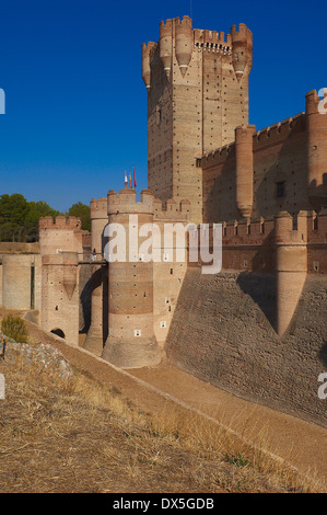 Vertical shot of the of La Mota Medina castle behind the trees Stock ...