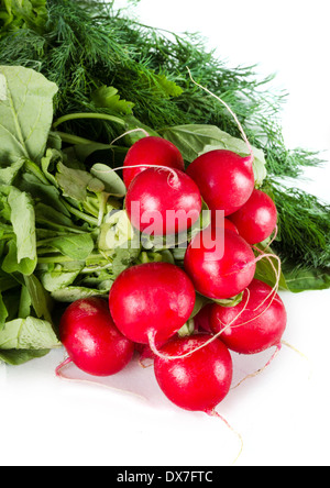 Fresh Red Radish on a white background Stock Photo - Alamy
