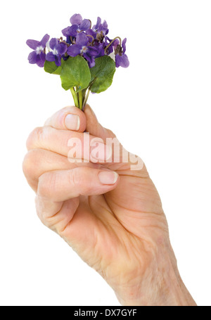 Flower bouquet with violets Stock Photo - Alamy
