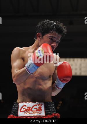 Osaka, Japan. 3rd Dec, 2013. Daiki Kameda (JPN) Boxing : Daiki Kameda ...