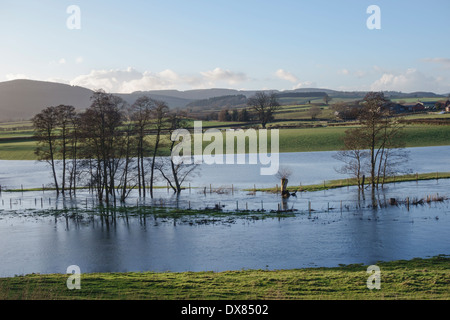 The flooded River Clun near Clungunford, Shropshire, UK Stock Photo - Alamy