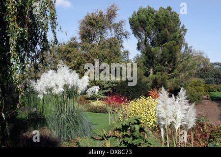 AUTUMN BORDERS WITH COLOURFUL SHRUBS. UK Stock Photo - Alamy
