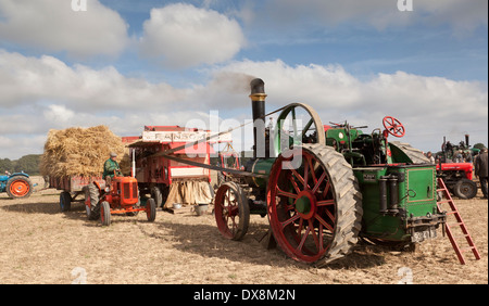 A vintage steam engine and threshing drum threshing straw assisted by ...