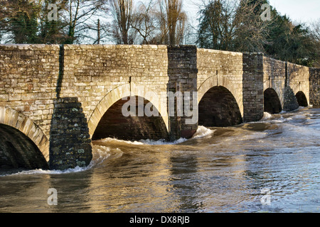 The medieval bridge across the flooded River Teme at Leintwardine ...