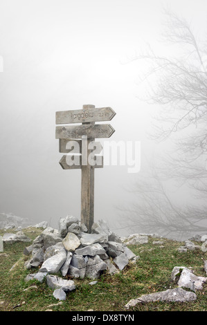 wooden signpost in forest with fog Stock Photo - Alamy