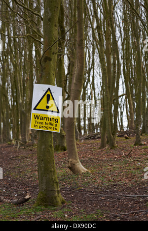 Warning sign on tree trunk alerting people to danger of branches of ...