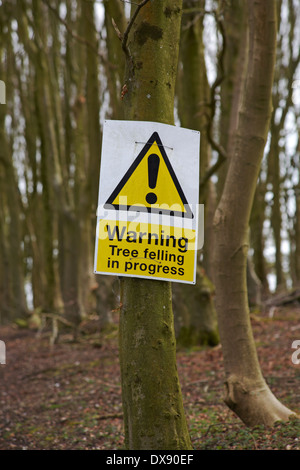 warning tree felling in progress sign on trees near Win Green on the ...