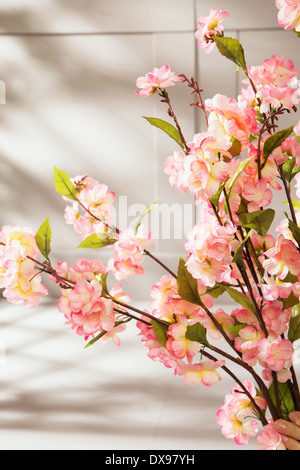 Floral wallpaper with delicate nature. Beautiful flower background in ...