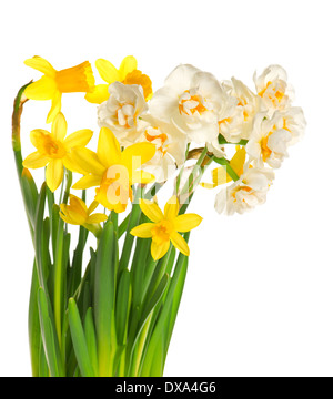 beautiful spring bouquet. Flowers arrangement with red and white colors ...