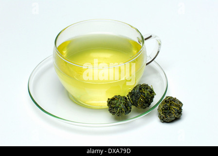 Jiao-gu-lan, dried leaves, jiaogulan, female ginseng, immortality herb ...