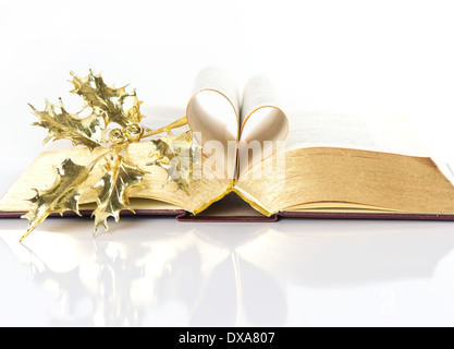 open vintage book with golden pages. bible with golden decoration over ...