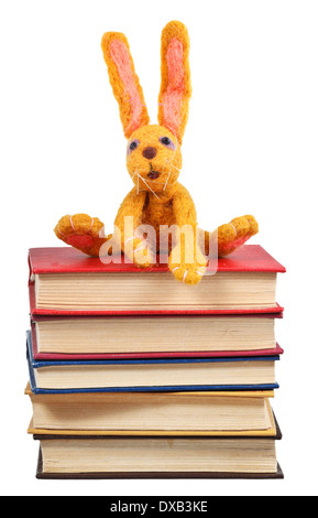 felt soft toy rabbit sits on old books isolated on white background ...
