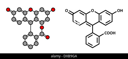 Fluorescein fluorescent molecule. Conventional skeletal formula and ...