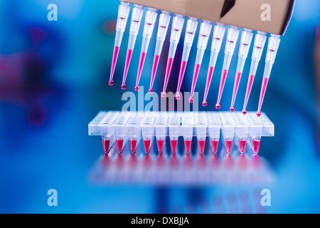 multi pipette in microbiology laboratory, close up Stock Photo - Alamy