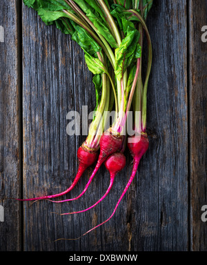 Organic miniature red candy stripe raw beets Stock Photo - Alamy