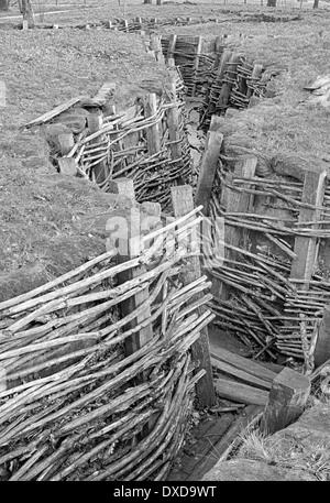 Restored German WW1 trenches at Bayernwald, nr Heuvelland (Kemmel ...