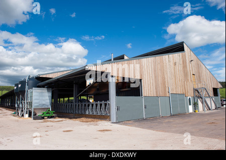 Dairy farming, new dairy unit building, built on greenfield site ...