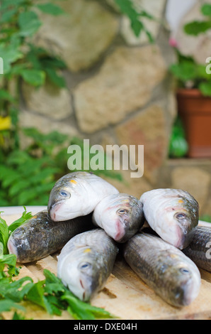 Mugil cephalus fish with vegetables Stock Photo - Alamy